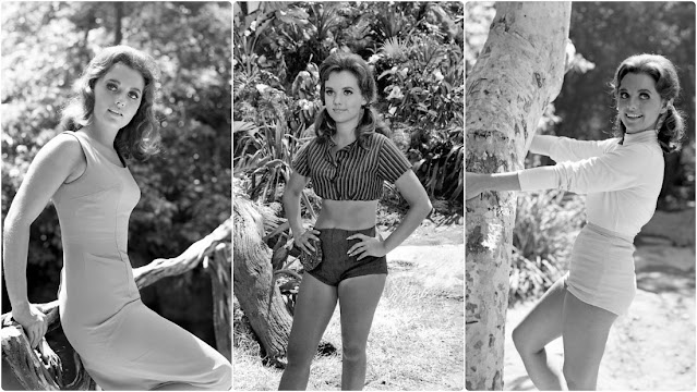 30 Portrait Photos of American Actress Dawn Wells in the 1960s ...