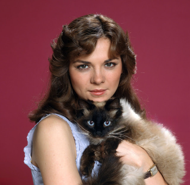 Before “Sex and the City”, Here Are 30 Glamorous Photos of a Young Kim ...