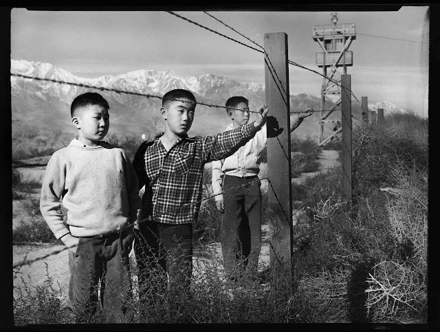 Three Boys Behind Barbed Wire, 1944 | Vintage News Daily