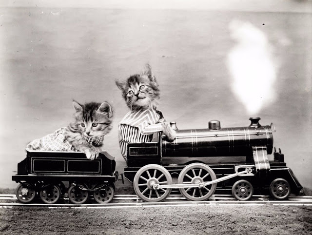 Vintage LOLcats: Adorable Old-Timey Photos of Cats Dressed As People ...