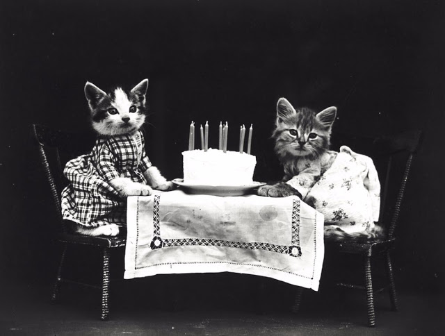 Vintage LOLcats: Adorable Old-Timey Photos of Cats Dressed As People ...