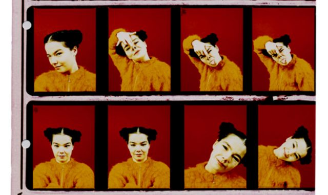 Wonderful Portraits of Björk in London Taken by Mark McNulty, 1993 ...