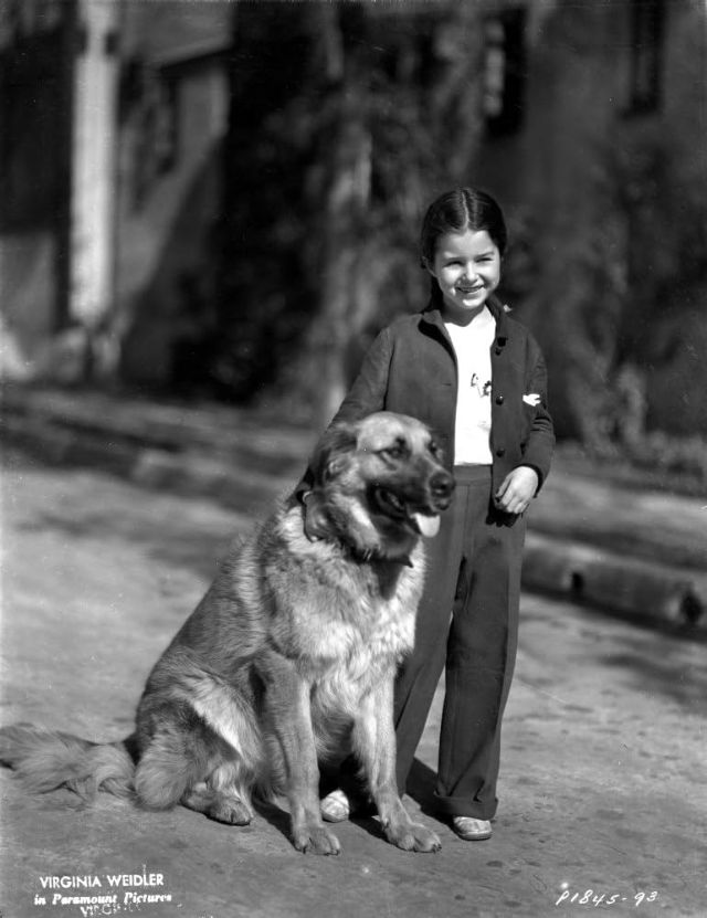 35 Lovely Photos of Virginia Weidler in the 1930s and ’40s | Vintage ...