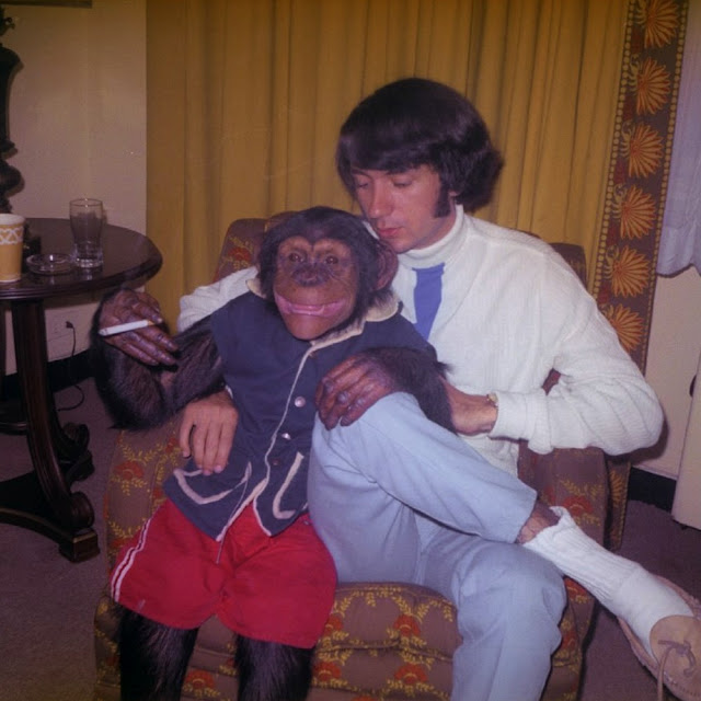 Snapshots of Micky Dolenz of The Monkees Posing With a Chimpanzee in ...