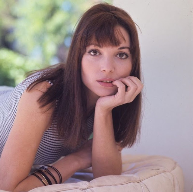 Elsa Martinelli: A Timeless Symbol of Italian Glamour | Vintage News Daily