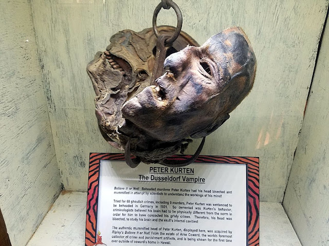 The Severed and Preserved Head of Peter Kürten, Germany’s Notorious ...